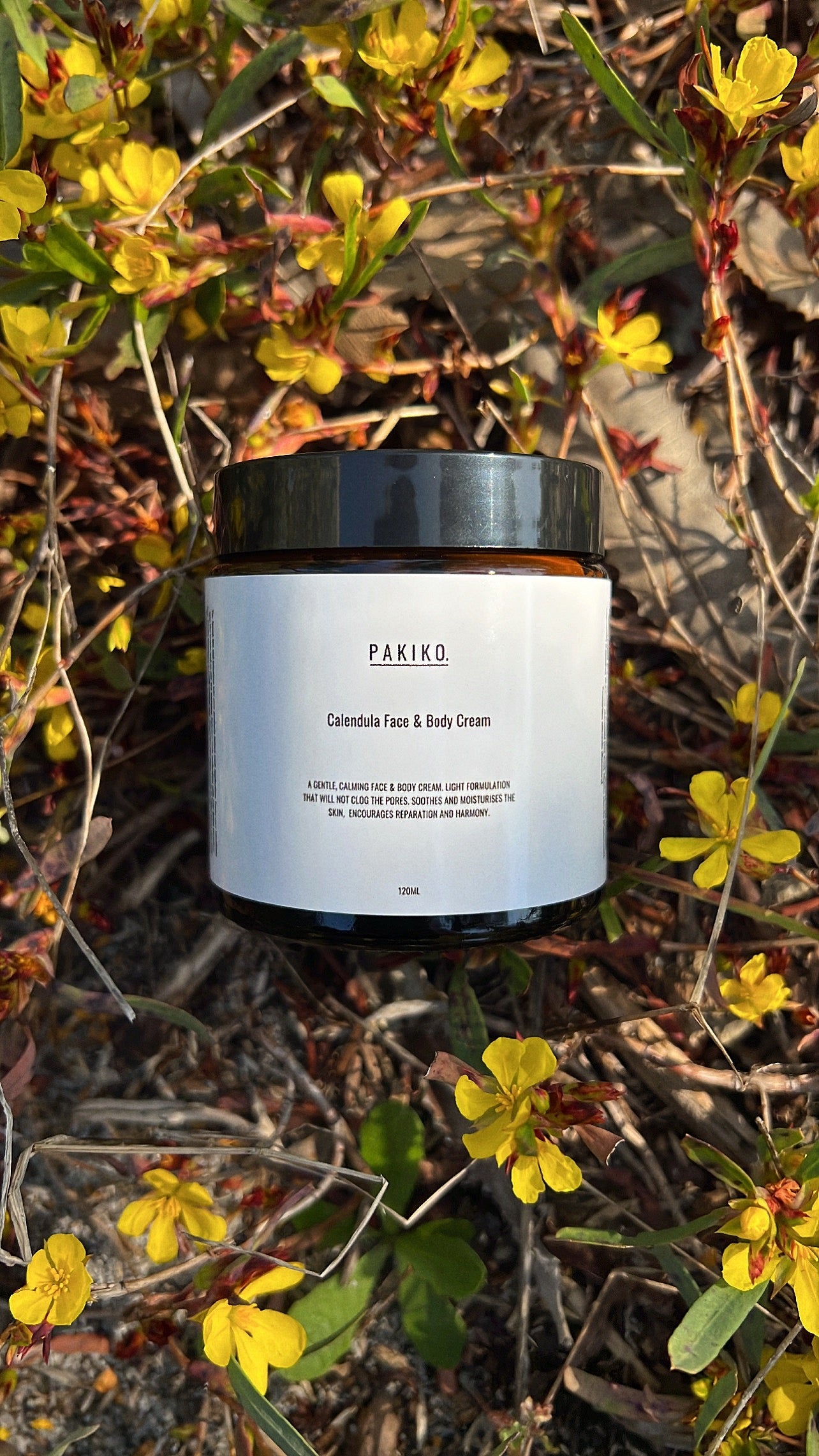Products – Pakiko.